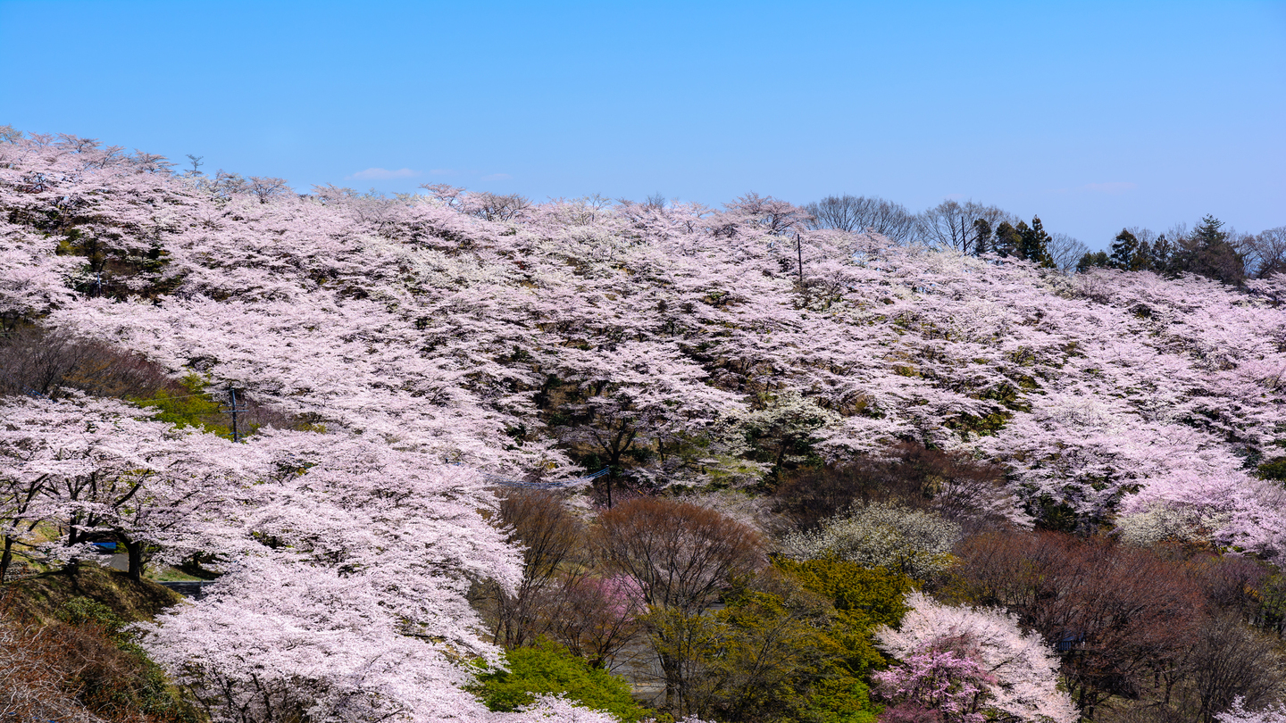 藤岡観光で外せないおすすめスポット13選！モデルコースも紹介 | NEWT（ニュート）